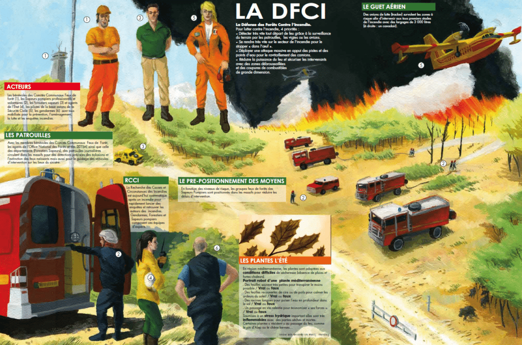 Comprendre l'incendie et les dangers du feu - Prévention Incendie Forêt